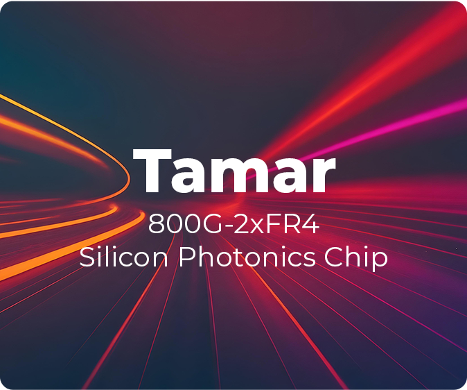DustPhotonics Tamar200 1.6T Silicon Photonics chip